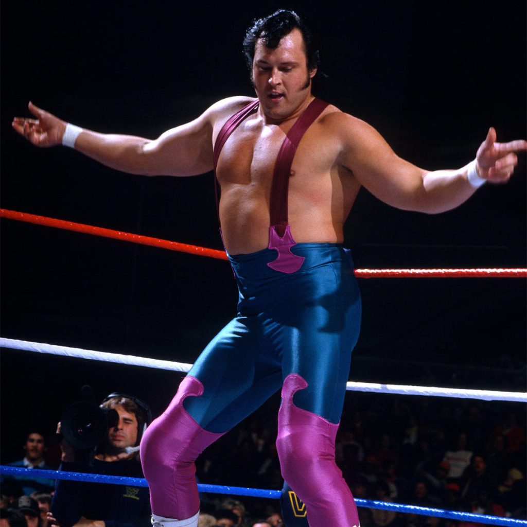 Babyface Honky Tonk Man | The Worst of WWF