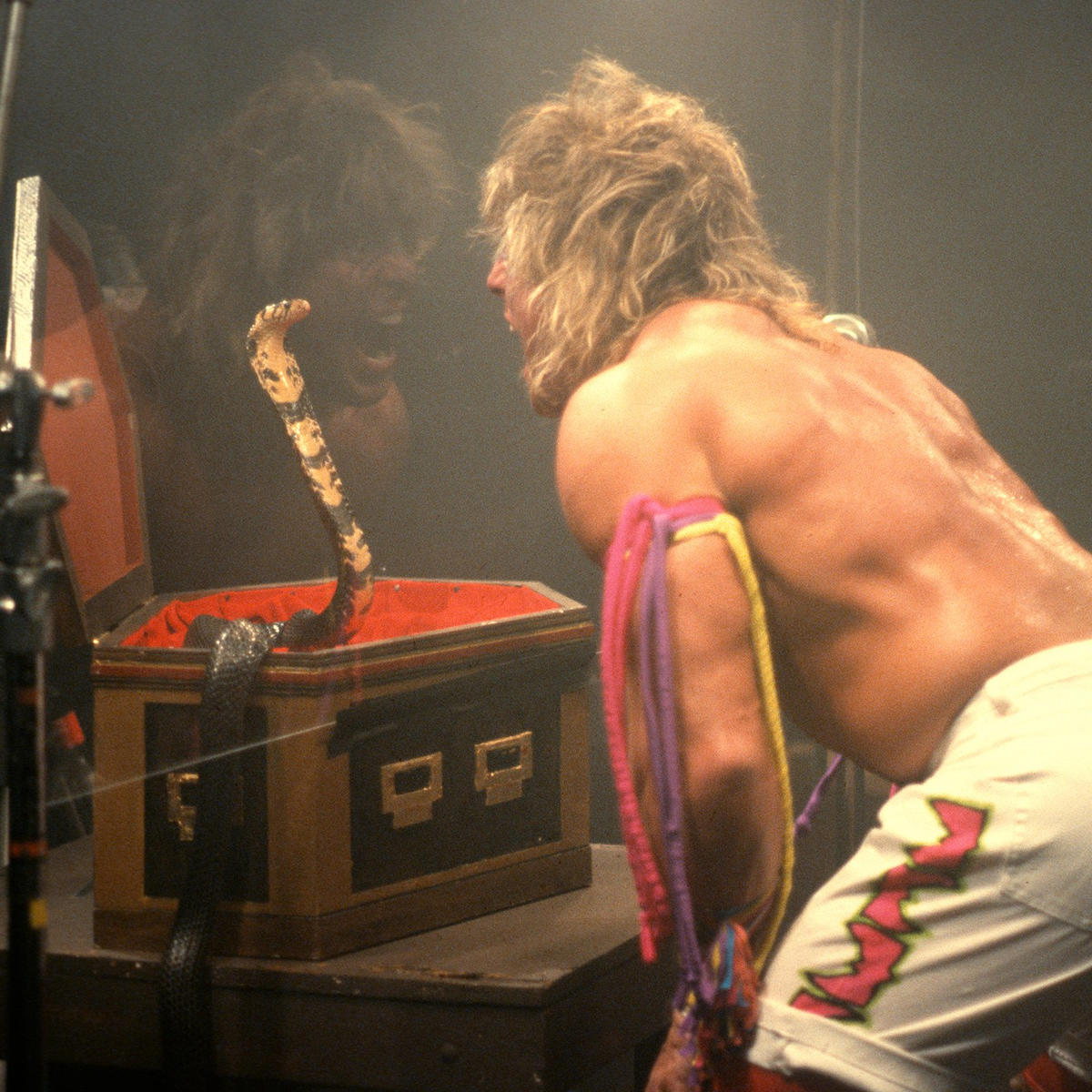 Ultimate Warrior Casket Review: WWE 'Ultimate Warrior – The Ultimate