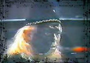 Adorable Adrian Adonis | The Worst of WWF