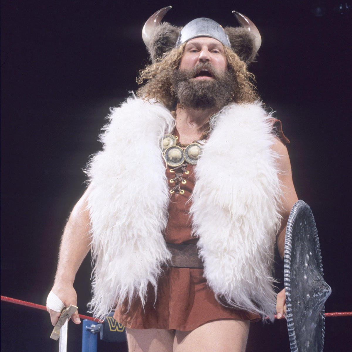 The Berzerker | The Worst of WWF