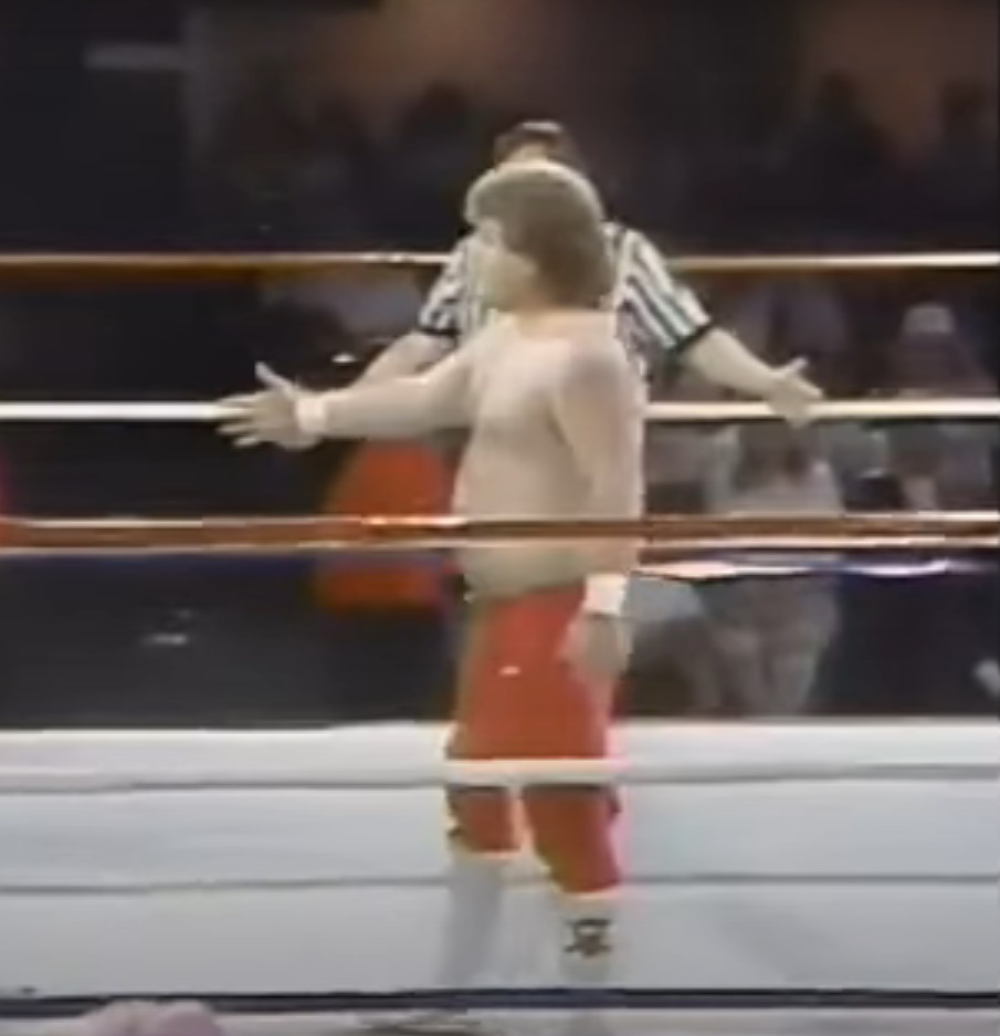 “The Observer” Davey Meltzer | WrestleCrap