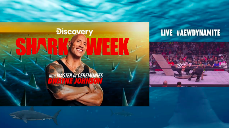 Barbed Wire Everywhere Shark Cage Match | The Worst of AEW