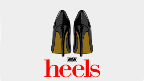 AEW Heels Sticker | Someone Bought This?!