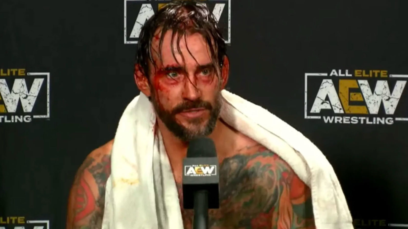 CM Punk Chaos, Superstar Billy Graham, Favorite Inductions, NES Pro ...