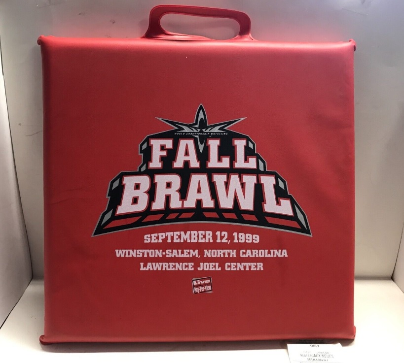 Fall Brawl Cushion | Someone Bought This?!
