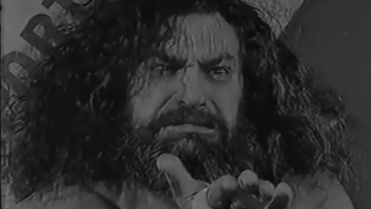 Bruiser Brody Silver Action Figure | Someone Bought This?!