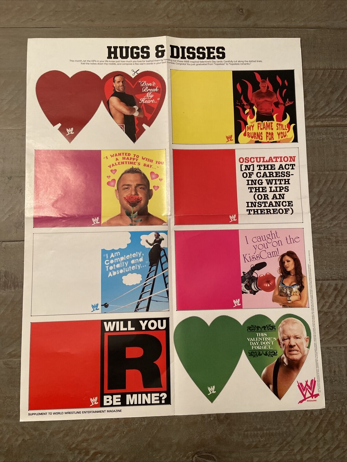 WWE Valentine's Day Poster | Someone Bought This?!