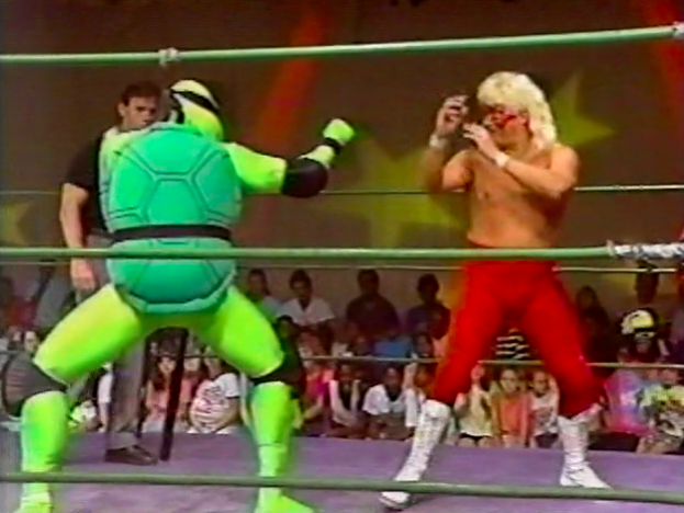 INDUCTION: Kowabunga - This Ninja Turtle's bogus, and so is vehicular ...