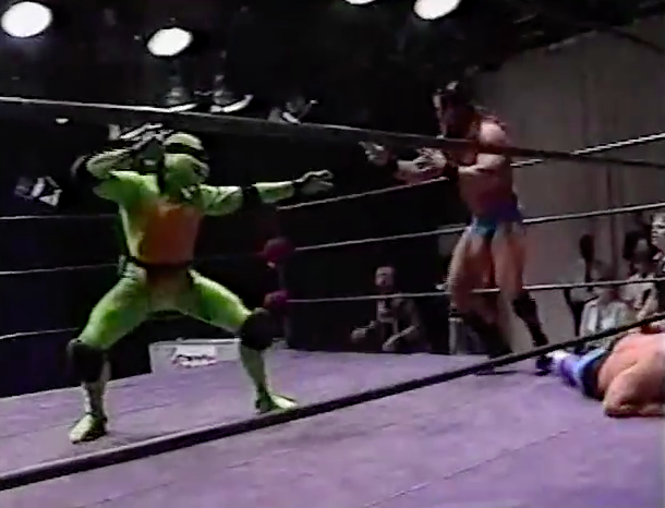 INDUCTION: Kowabunga - This Ninja Turtle's bogus, and so is vehicular ...