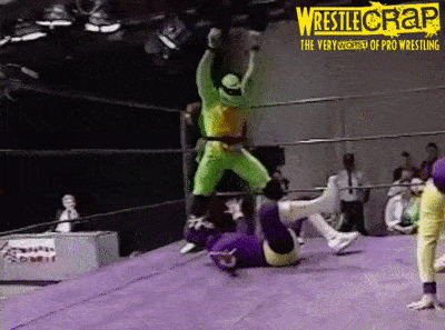 INDUCTION: Kowabunga - This Ninja Turtle's bogus, and so is vehicular ...